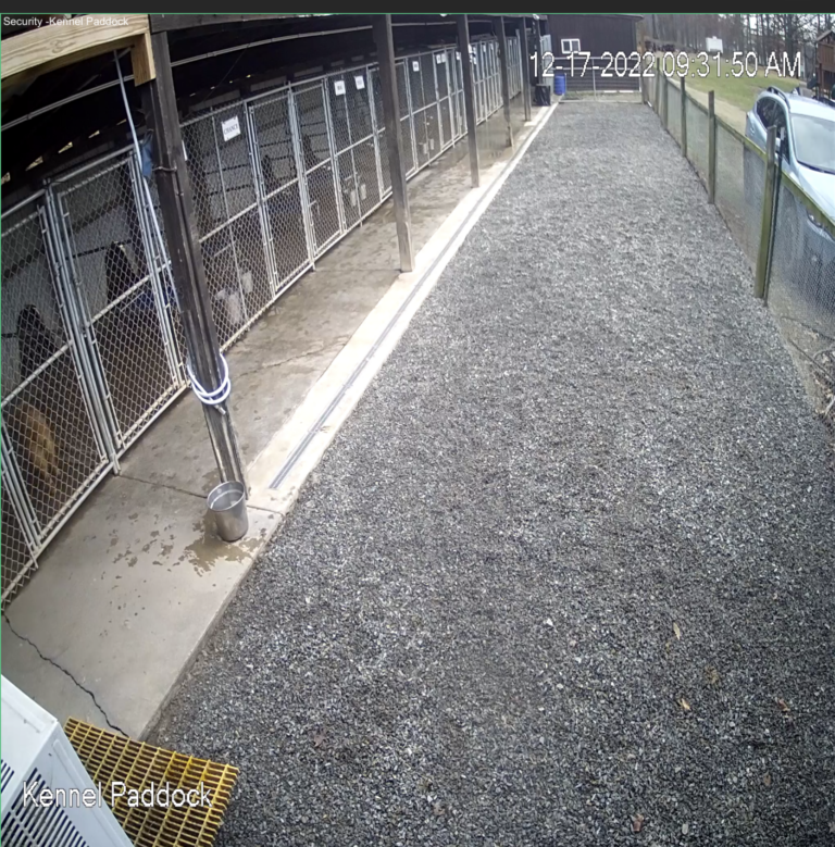 Our Kennels – Goldenrod Kennels